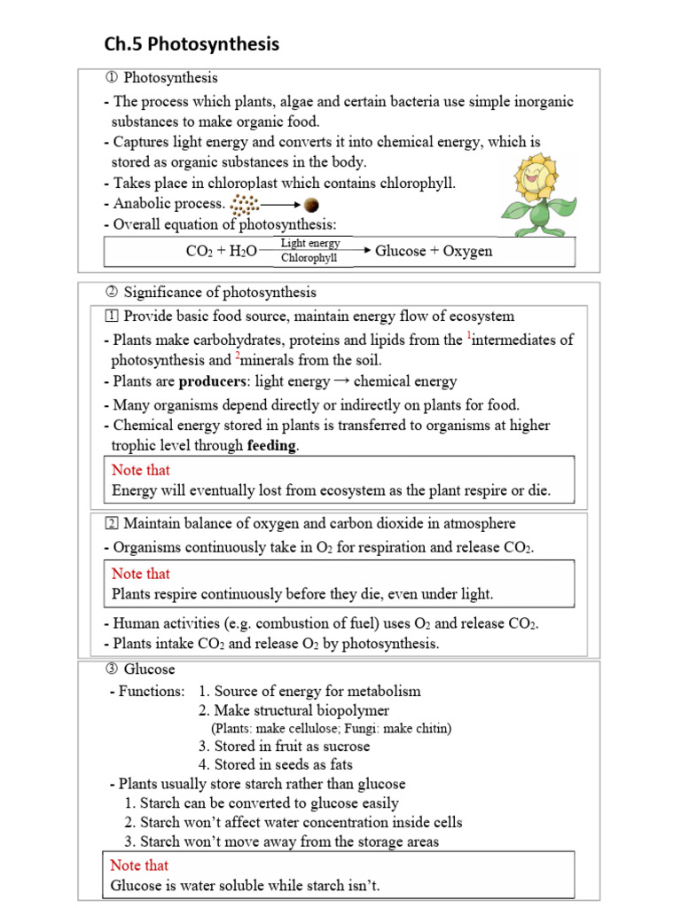 Bio Ch.5 Photosynthesis | PDF | Leaf | Photosynthesis