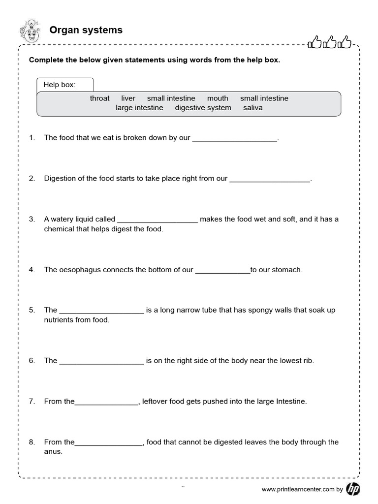 Digestive System Fill-in-the-Blank Quiz | PDF