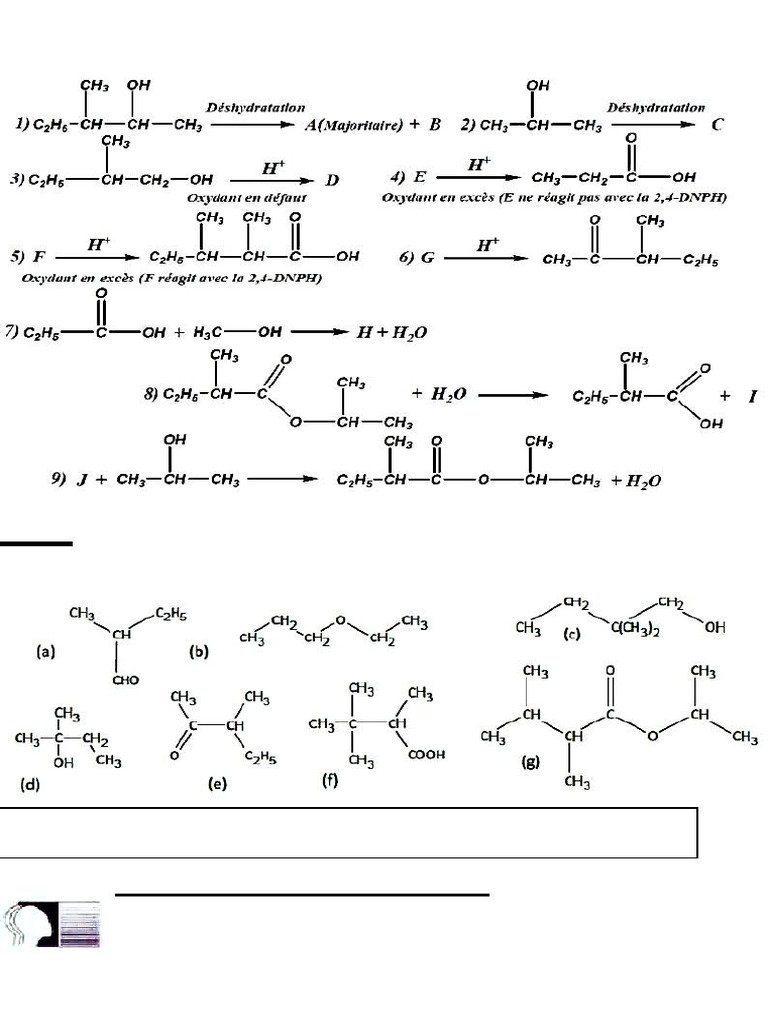 PDFReader 20250112 1356 | PDF