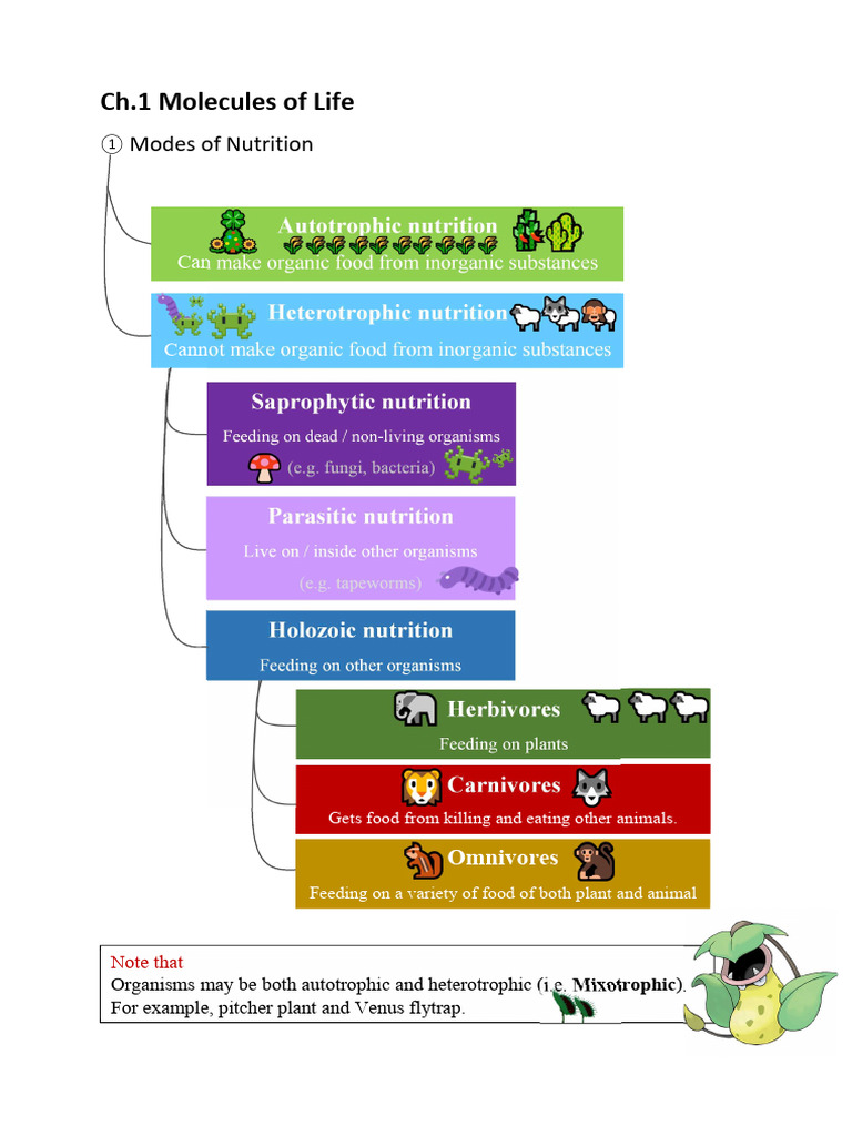 Bio Ch.1 Molecules of Life | PDF | Nutrition | Diet & Nutrition