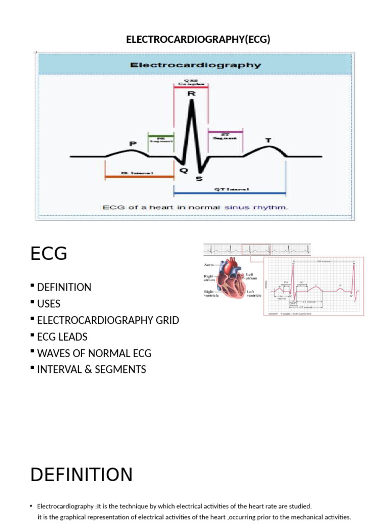 Ecg | PDF | Electrocardiography | Cardiovascular System