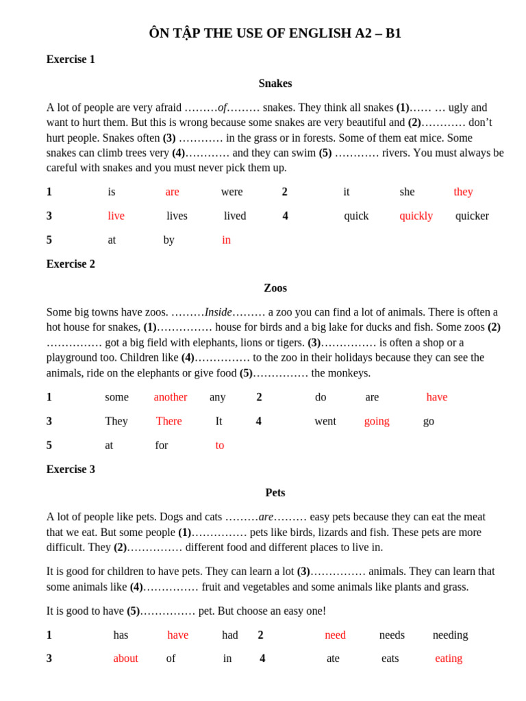 English A2-B1 Practice Exercises | PDF | Dolphin | Hip Hop Music