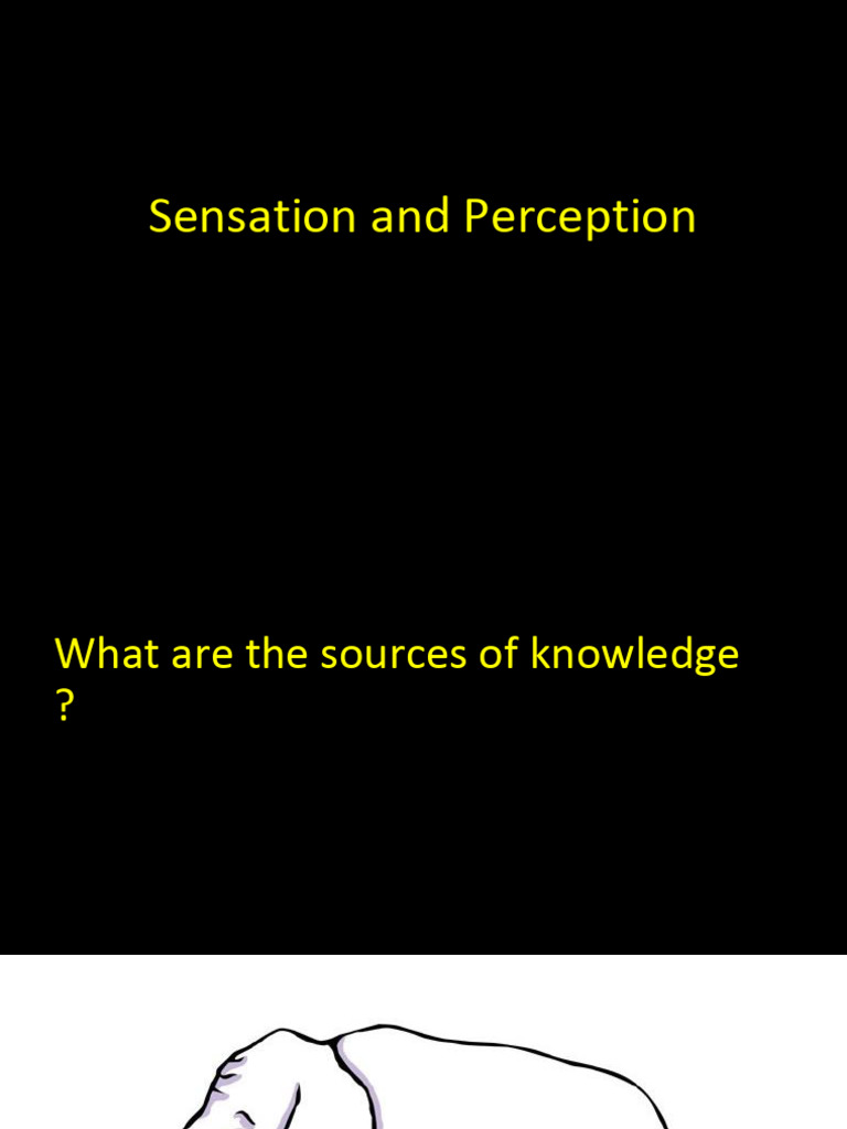 Sensation and Perception | PDF | Senses | Perception