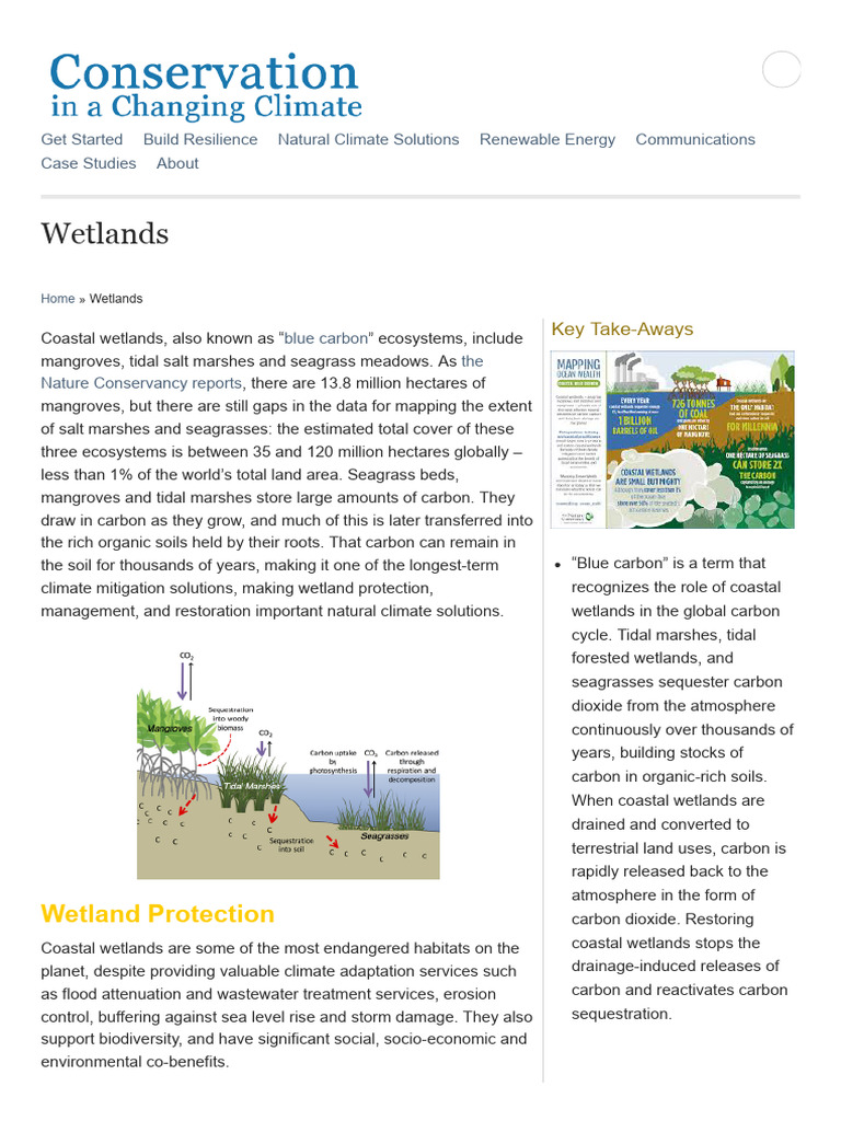 Blue Carbon: Coastal Wetland Benefits | PDF | Wetland | Carbon ...