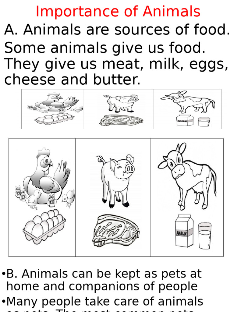 Science Importance of animals | PDF