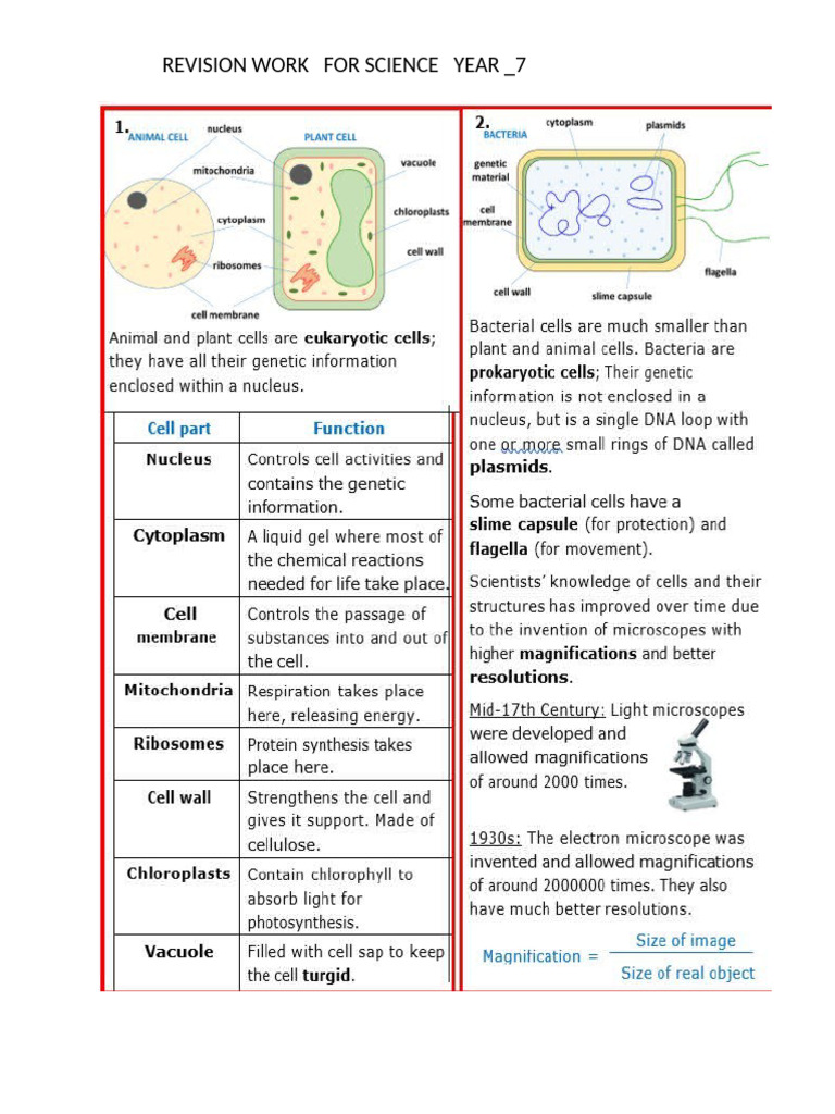 Year 7 Revision For Science - October Week - 1 | PDF | Cell (Biology ...