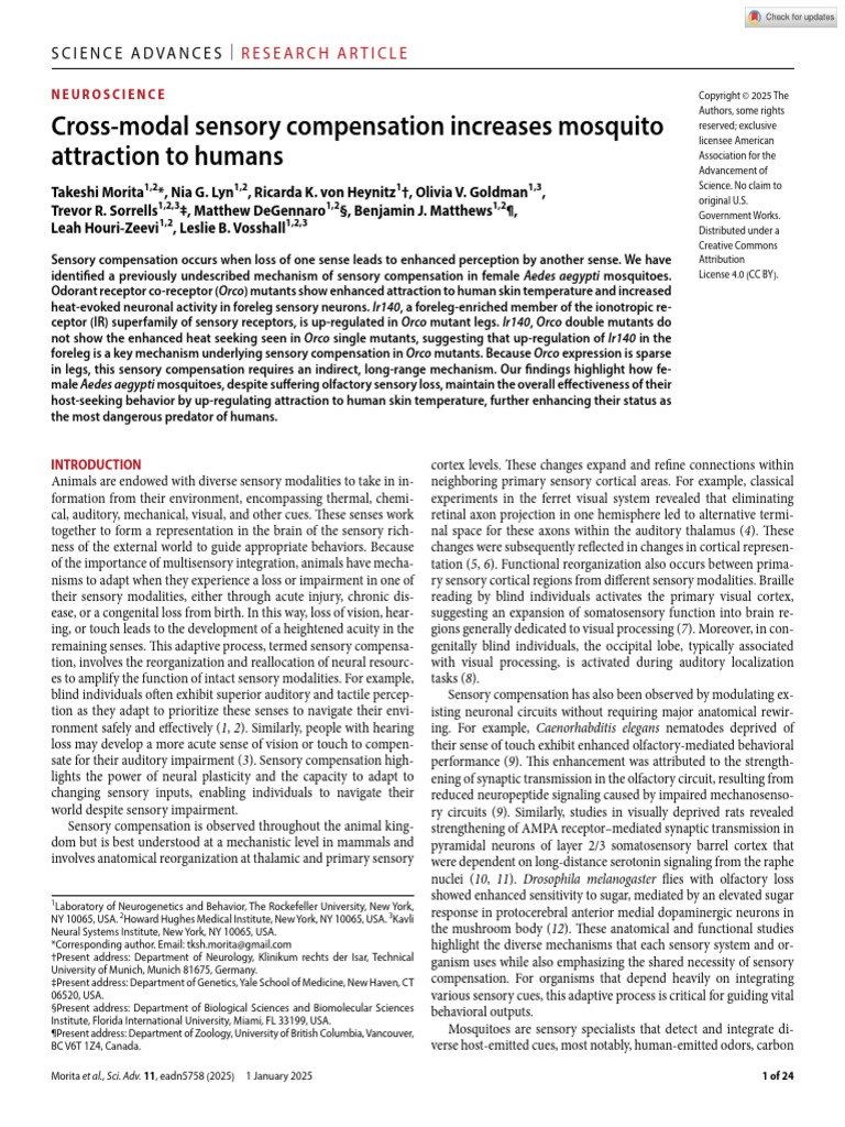Sciadv Adn5758 | PDF | Cerebral Cortex | Senses