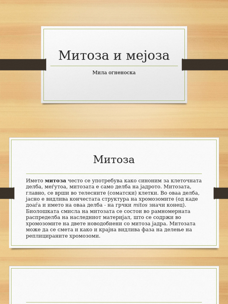 Mitoza I Mejoza | PDF