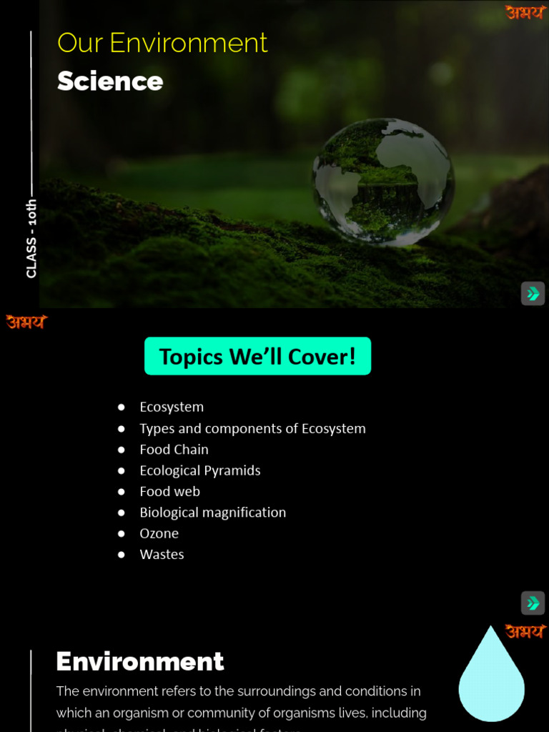 Our Environment (Prashant Kirad) | PDF | Ozone | Ecosystem