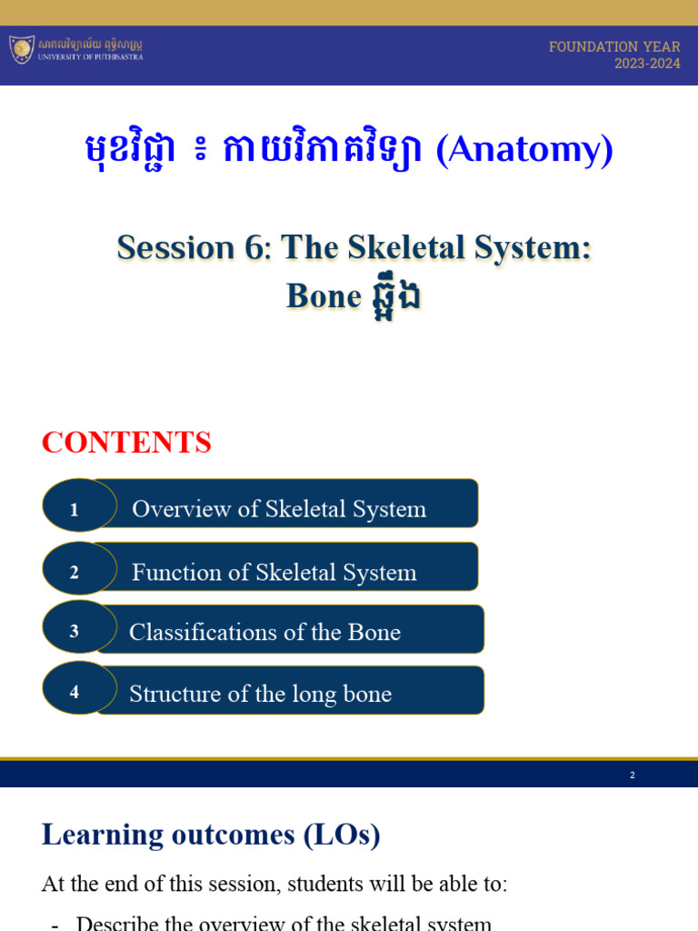 S6 Skeletal System | PDF | Bone | Skeleton