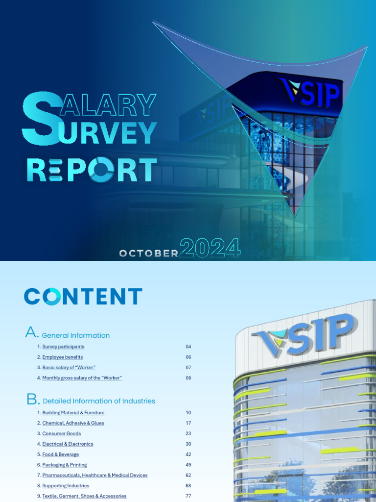 2024_VSIP Salary Survey Report 2024 (Eng) | PDF | Adhesive | Salary