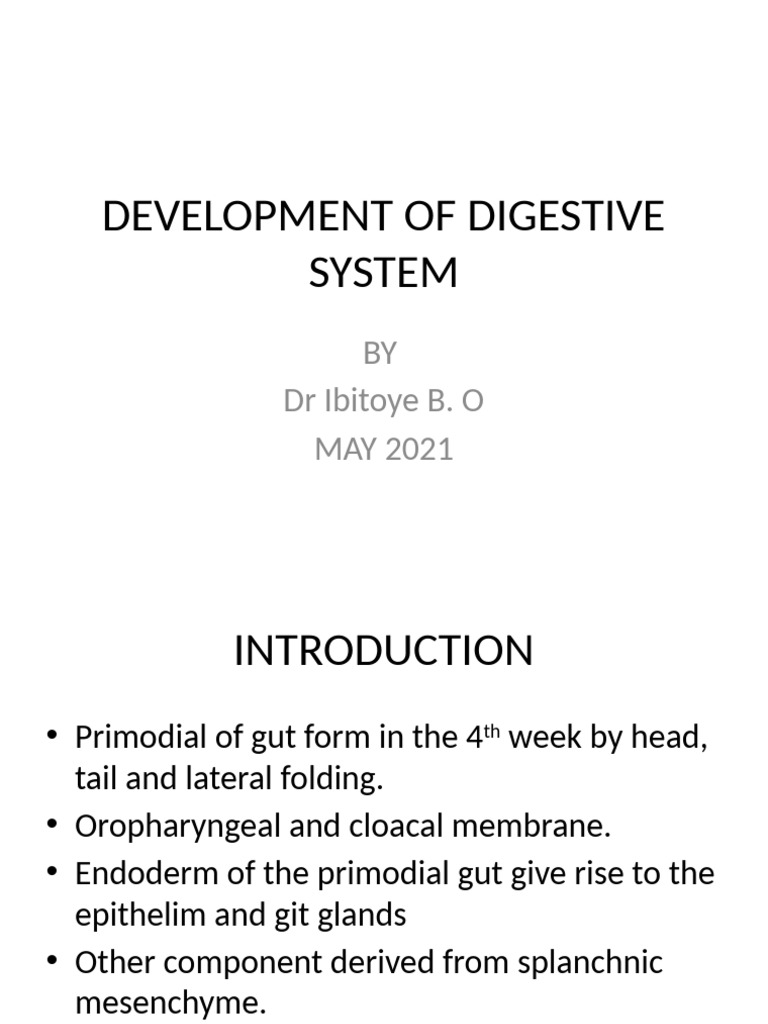 Development of Digestive System 2 | PDF | Pancreas | Gastrointestinal Tract