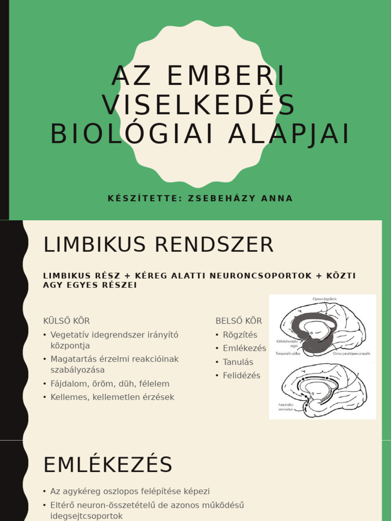 Az Emberi Viselkedés Biológiai Alapjai | PDF