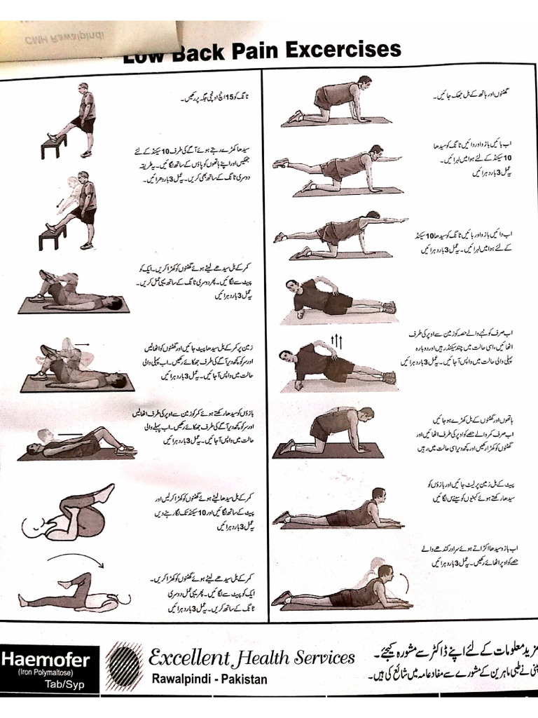 Low Back Excercises | PDF
