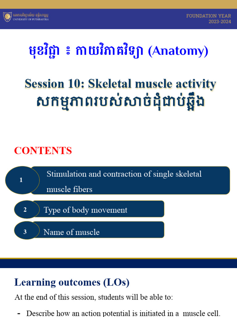 S10 Muscular System_ Skeletal muscle (2) | PDF | Anatomical Terms Of ...