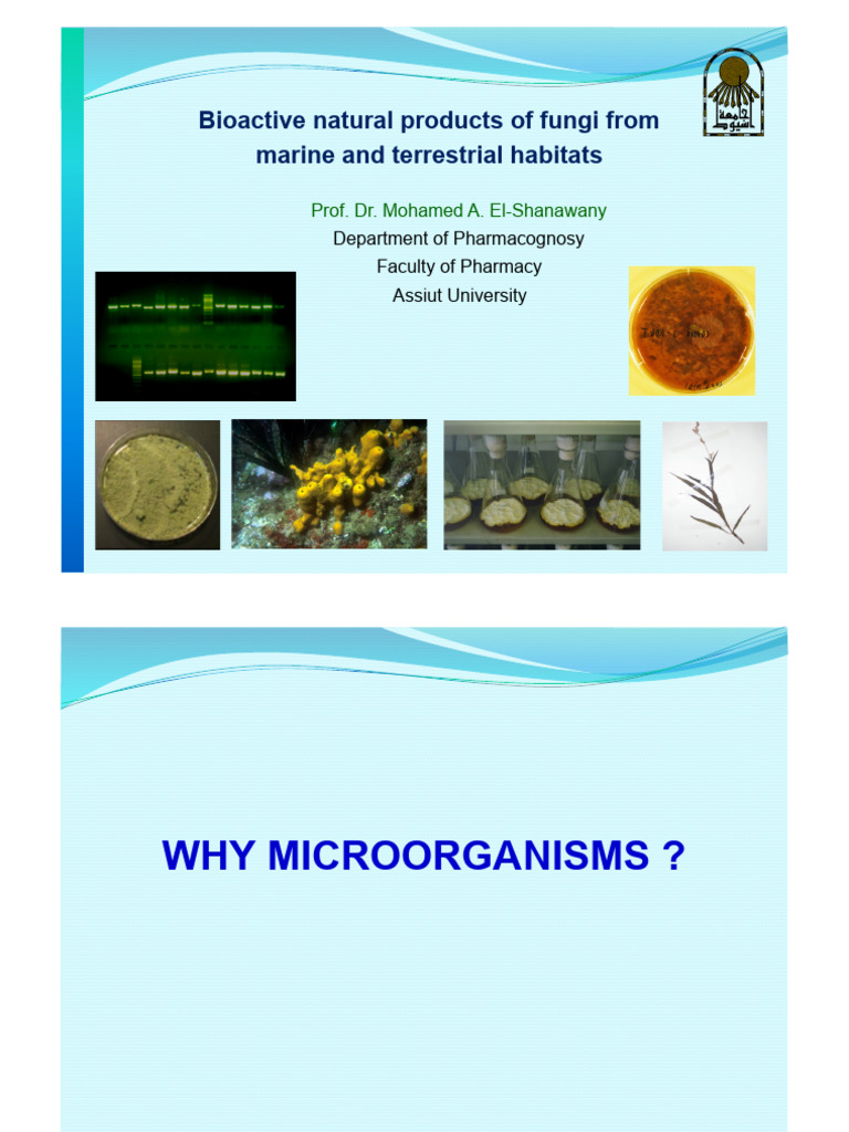 Bioactive natural products of fungi from | PDF | Natural Products | Fungus