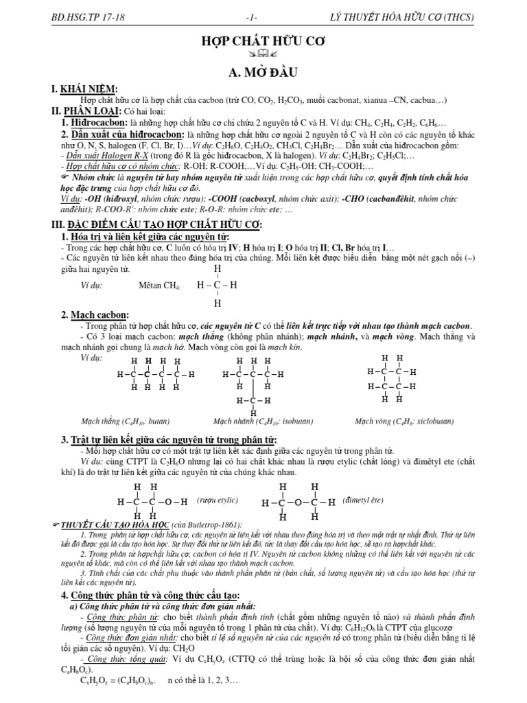 BD.HSG.TP 17 18 LÝ THUYẾT HÓA HỮU CƠ THCS | PDF