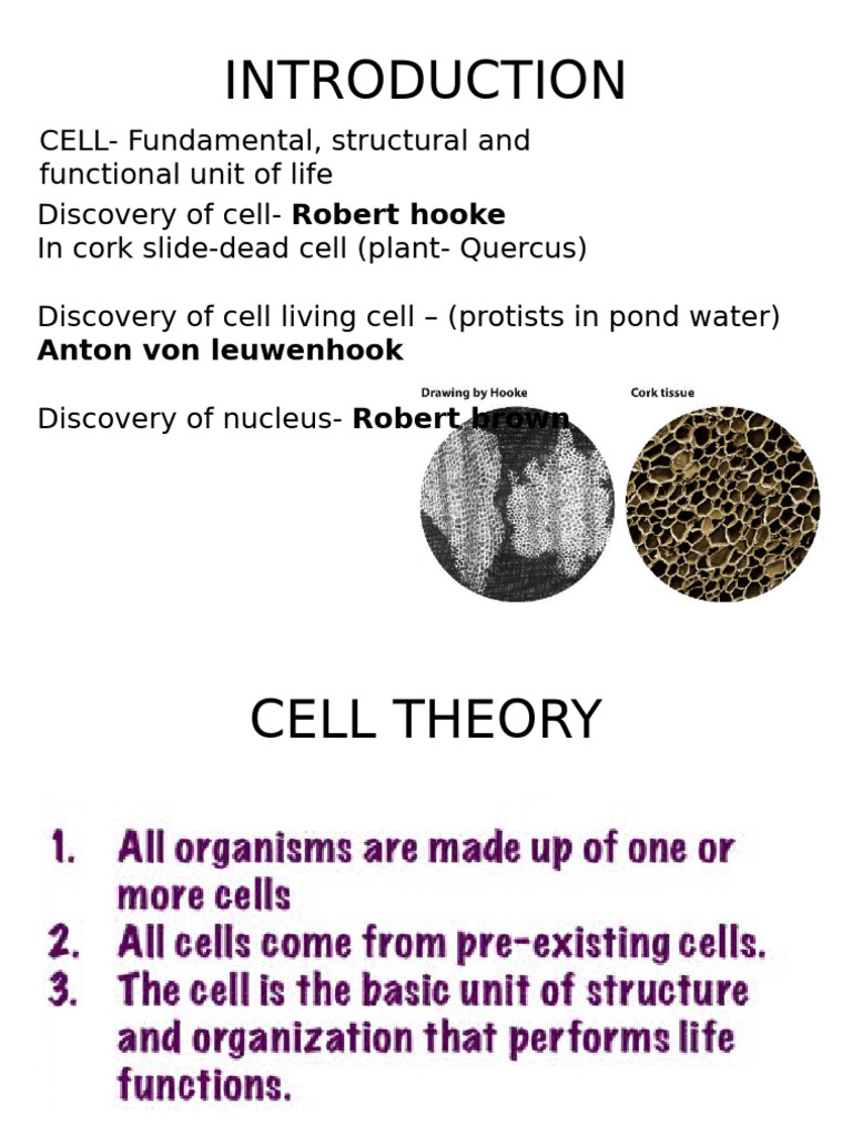 Cell - The Unit of Life | PDF | Cell (Biology) | Cell Membrane