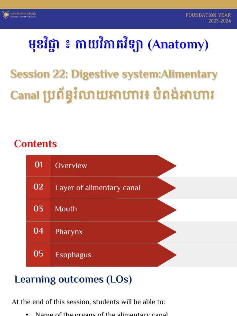 S22-Digestive System - Alimentary Canal | PDF