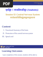 Brain Parts & Mnemonics Guide | PDF | Cerebral Hemisphere | Cerebral Cortex