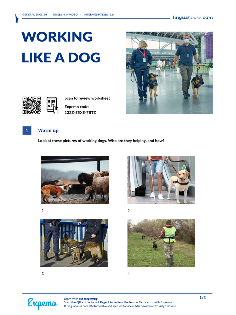 Working Like A Dog American English Teacher | PDF | Vocabulary | Cognition