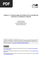 Inseticidas Epingle 100 Bula | PDF | Ferimento | Agricultura