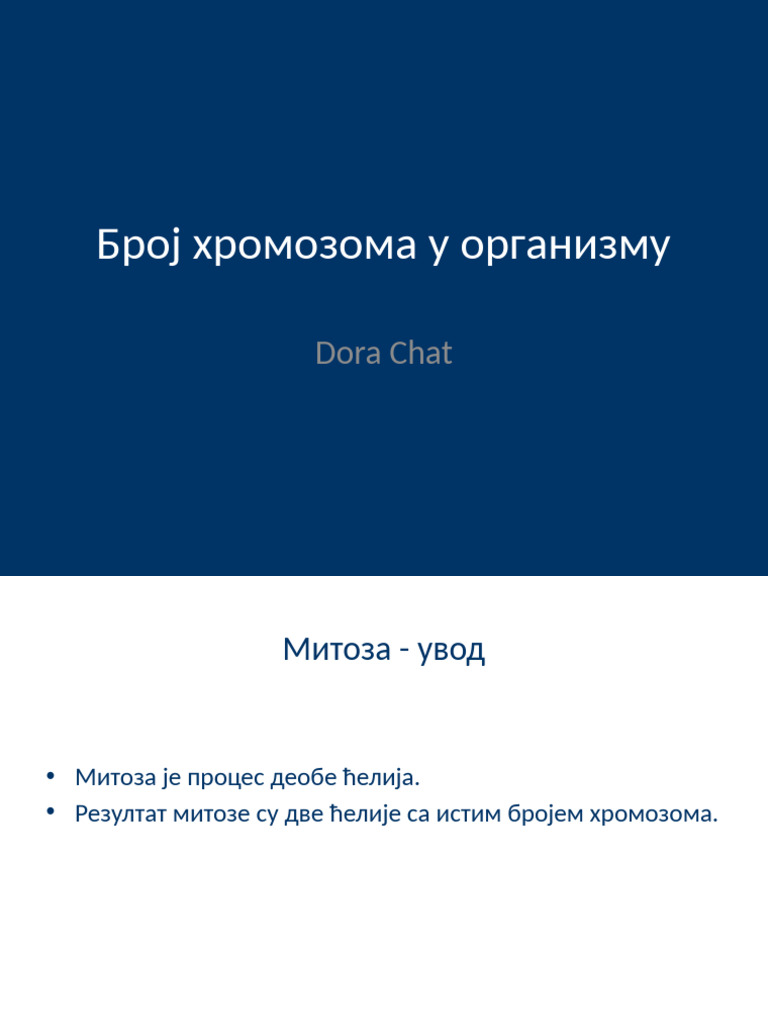 Prezentacija | PDF