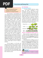 Ecosystem - NCERT | PDF | Ecosystem | Food Web