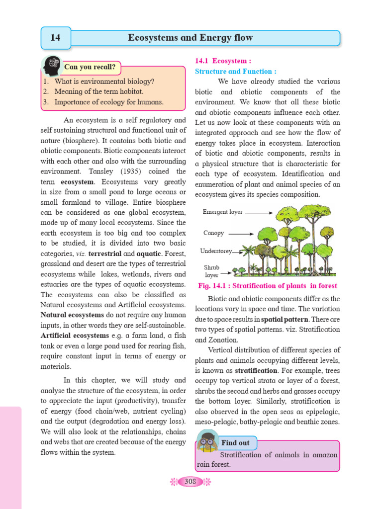 Ecosystems and Energy Flow | PDF | Food Web | Ecosystem