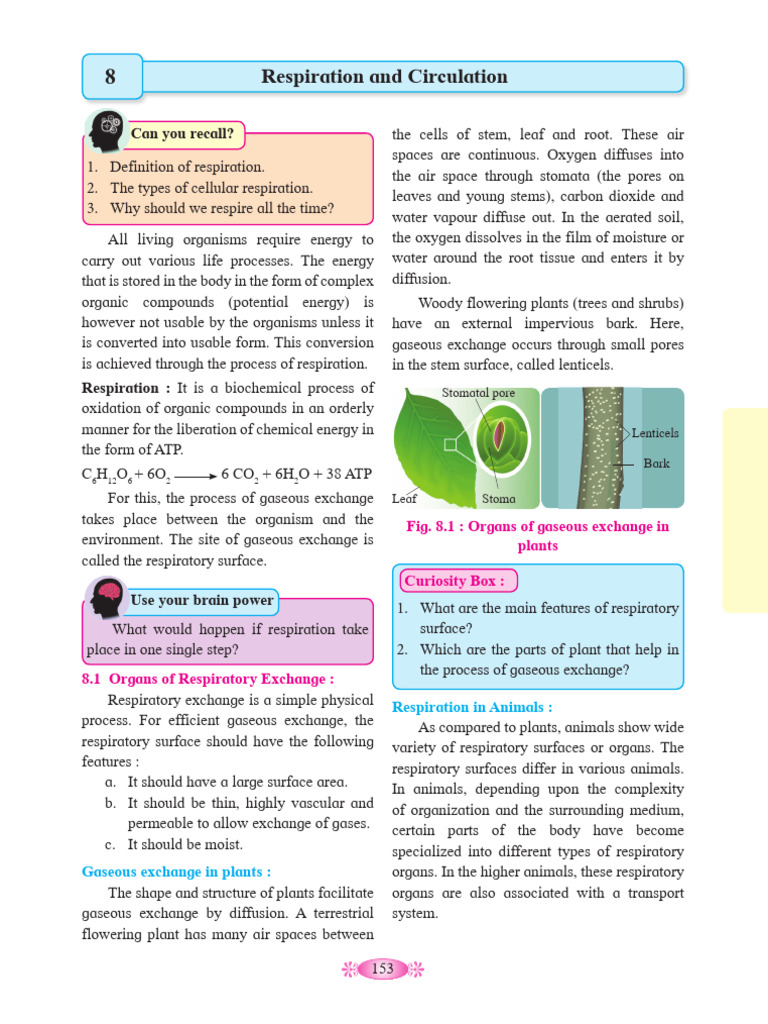 Respiration and Circulation | PDF | Respiratory System | Respiratory Tract