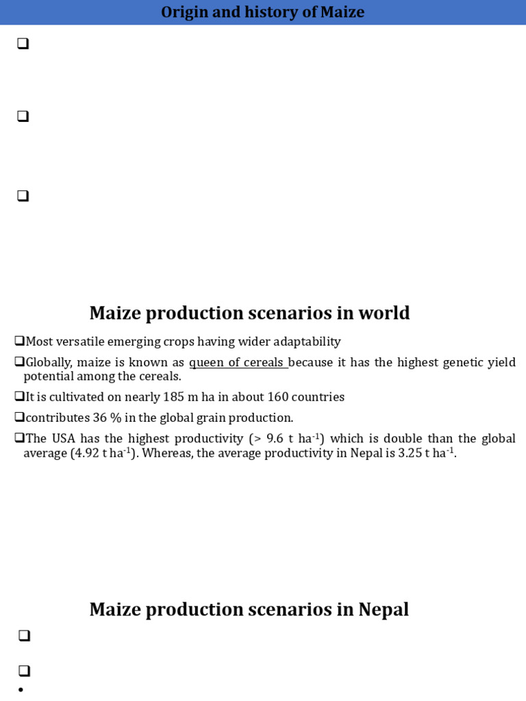 Maize Cultivation | PDF | Maize | Sowing