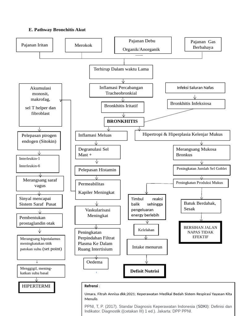 Pathway Bronkhitis Akut- 3dx | PDF