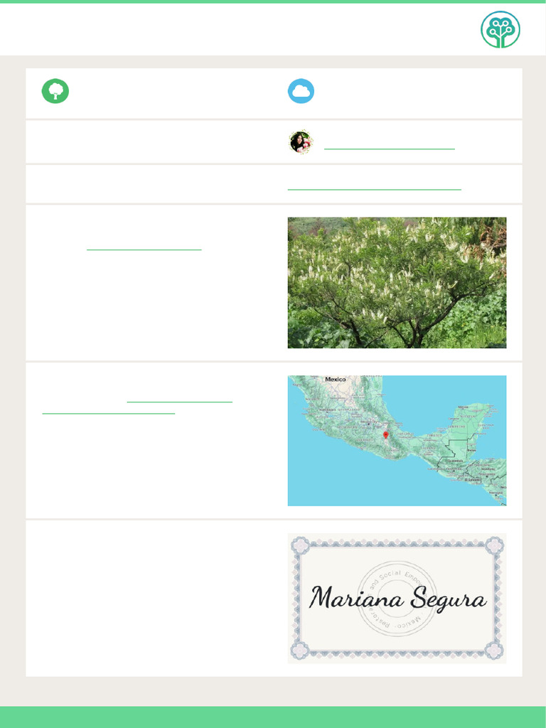 Tree Certificate | PDF