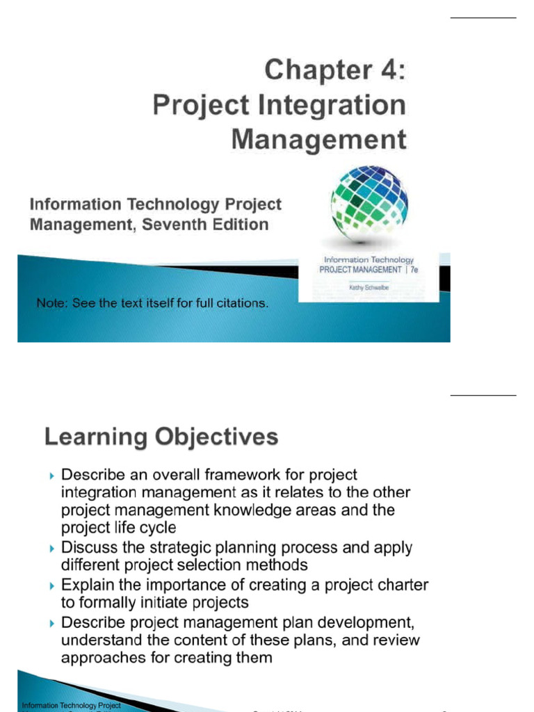 Project Management | PDF