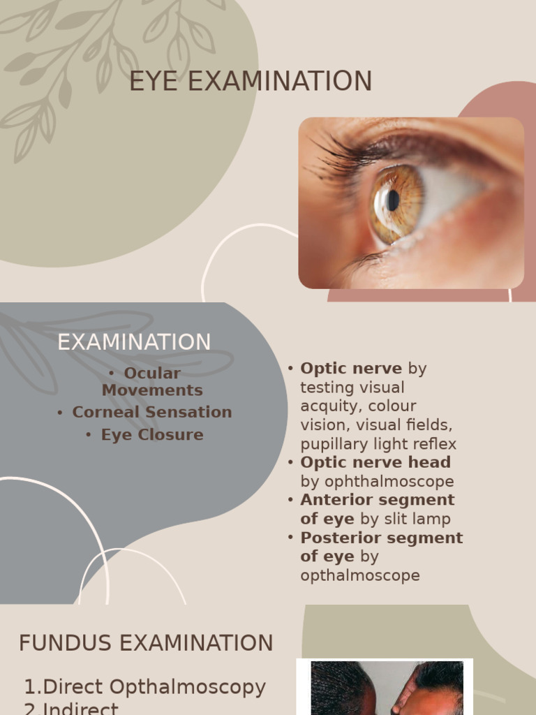 Eye Examination | PDF | Human Eye | Visual System