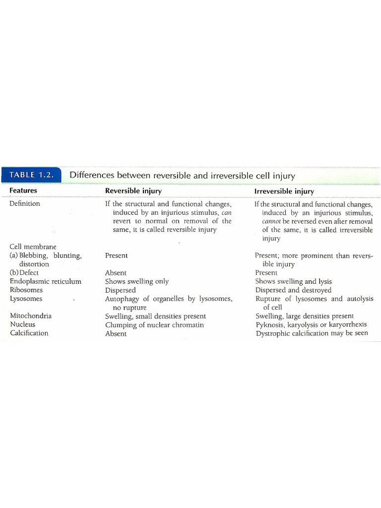 Pathology Imp Tables+ Pointers - General | PDF