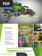 Flora Nativa de República Dominicana | PDF | República Dominicana | Arboles