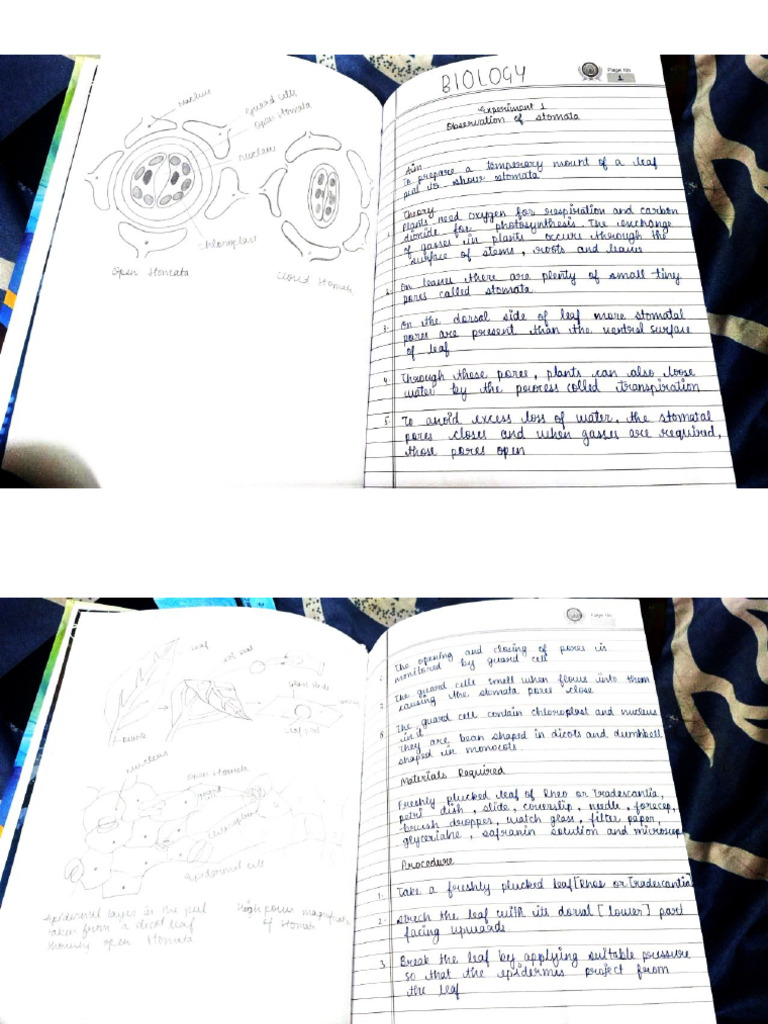 Bio Practical Class 10 | PDF