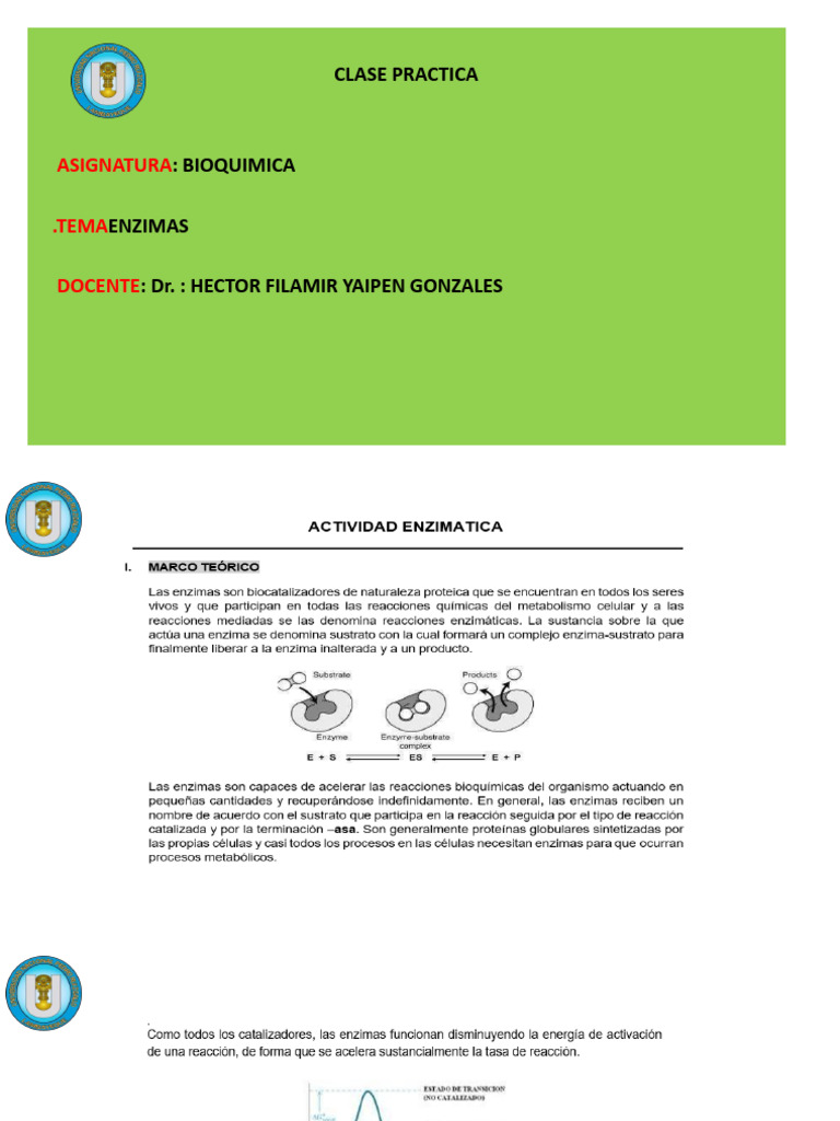 Practica 7 Enzimas | PDF