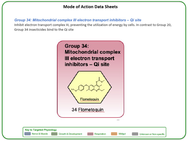 MoA Group 34 | PDF