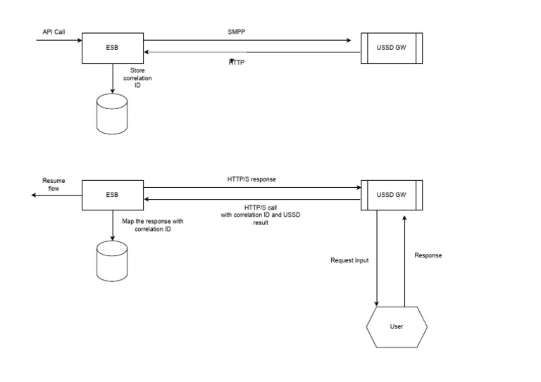 USSD Connectivity | PDF