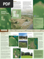 Las Castas: Spanish Racial Classifications | PDF | Mulatto | Black People