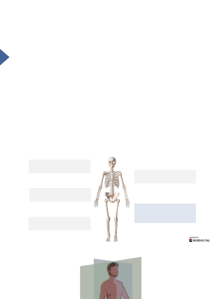 Slides_Anatomical_Terminology | PDF