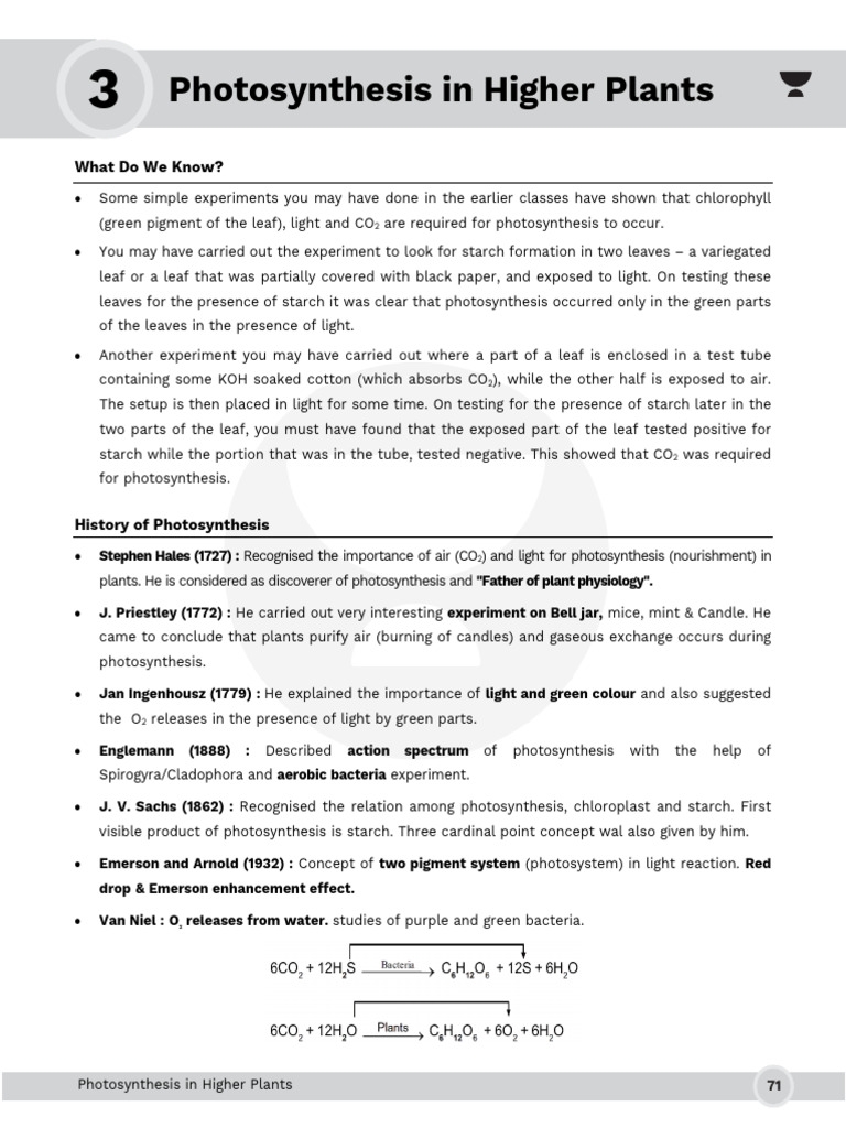 Photosynthesis in Higher Plants 3.0 with Practice Questions | PDF ...