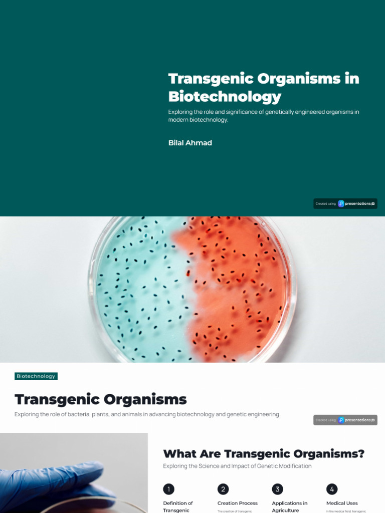 Transgenic Organisms in Biotechnology | PDF