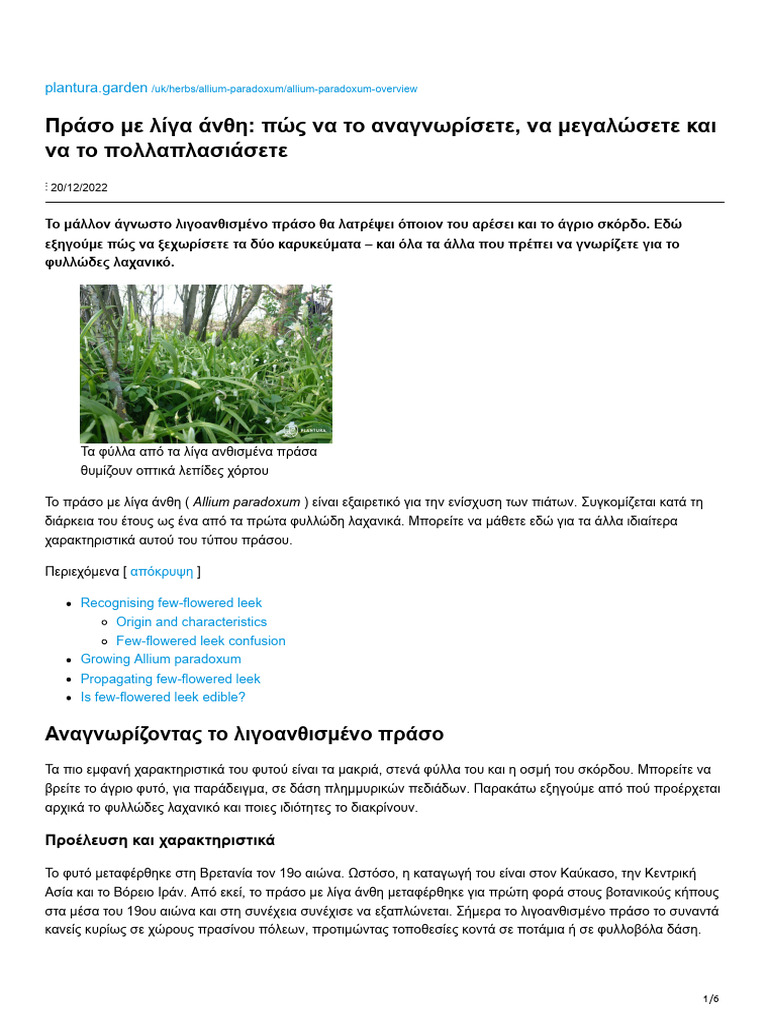 Allium paradoxum (Πράσο με λίγα άνθη) | PDF