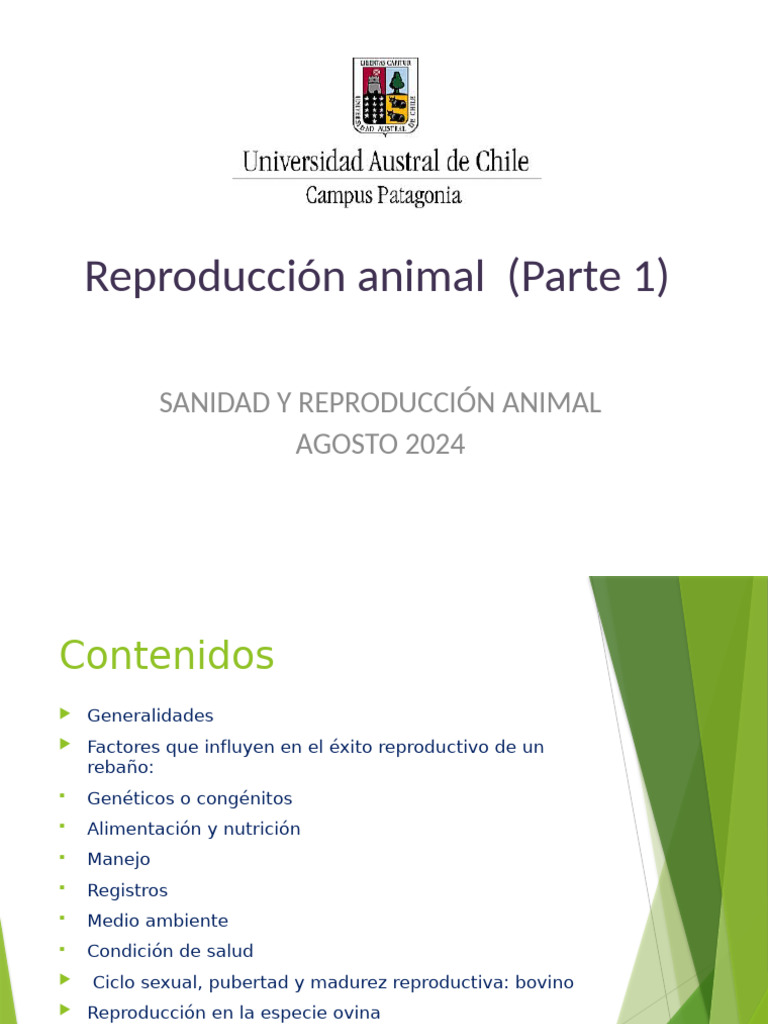 Unidad 7 Sesión 20 Reproducción Animal Parte 1 (Ciclo Sexual Pubertad y ...