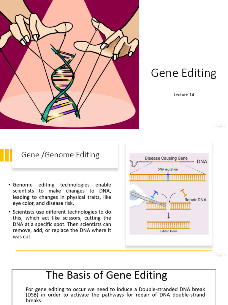 14 - Gene Editing | PDF | Gene Therapy | Gene