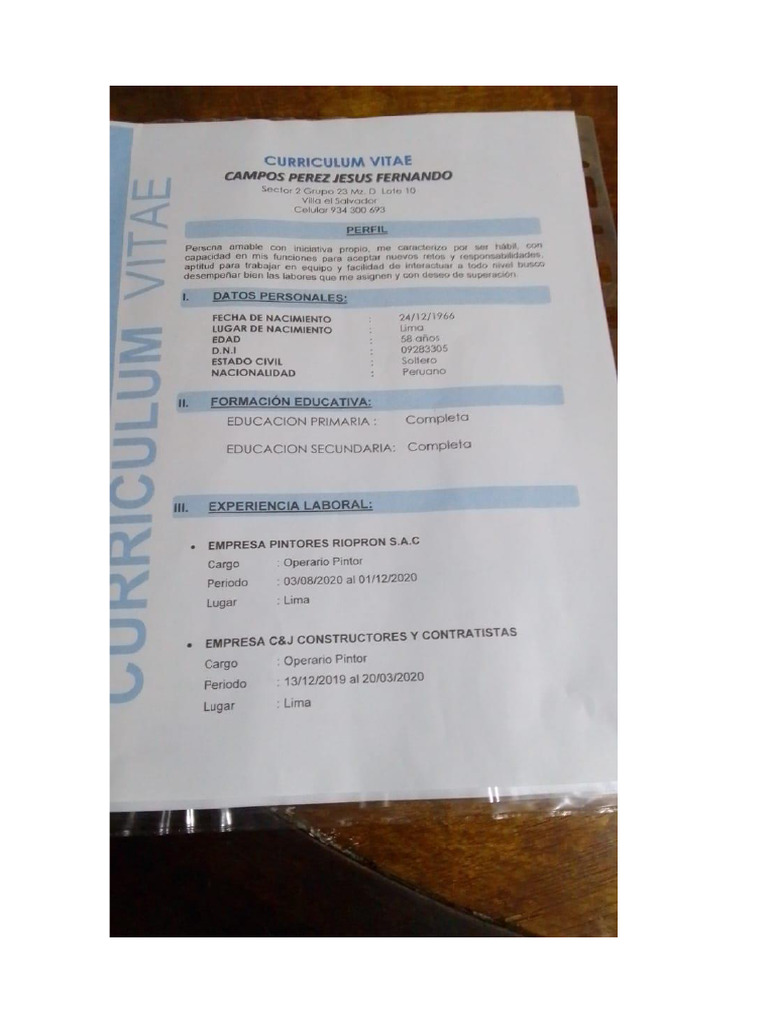 CV Jesus | PDF