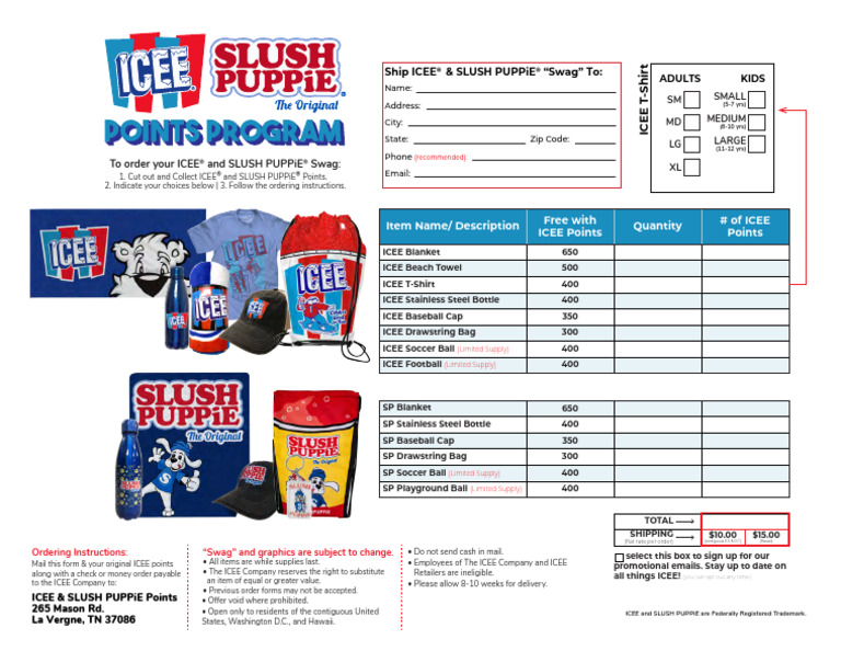 ICEE_SP_POINTS_Feb2021-1 | PDF